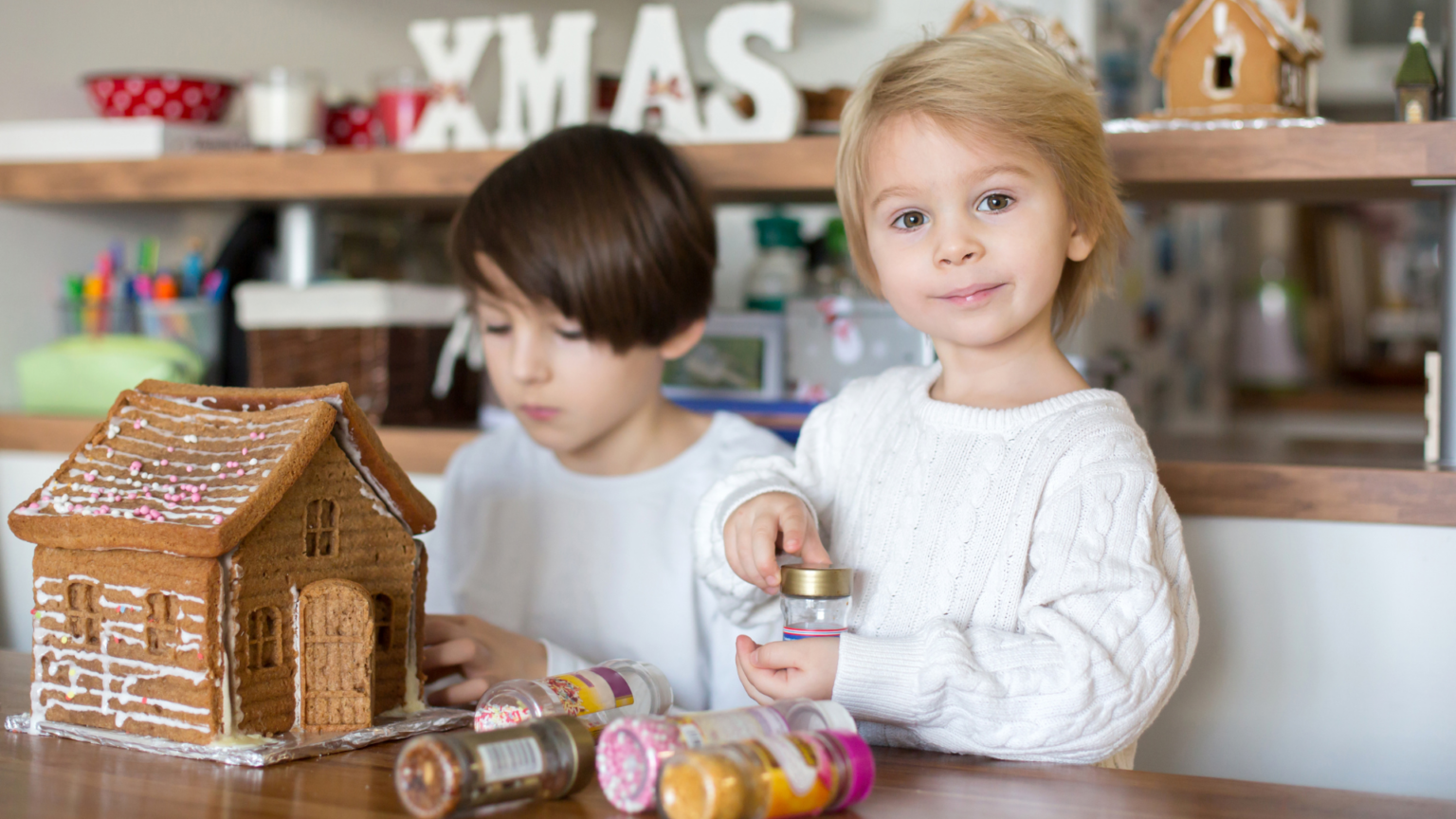Make This Christmas Unforgettable! 100 Traditions to Bring Your Family ...