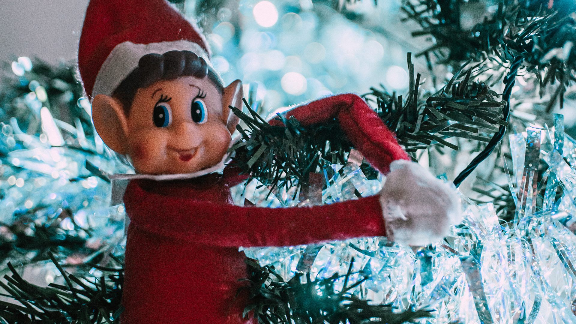 Make This Christmas Unforgettable! 100 Traditions to Bring Your Family ...
