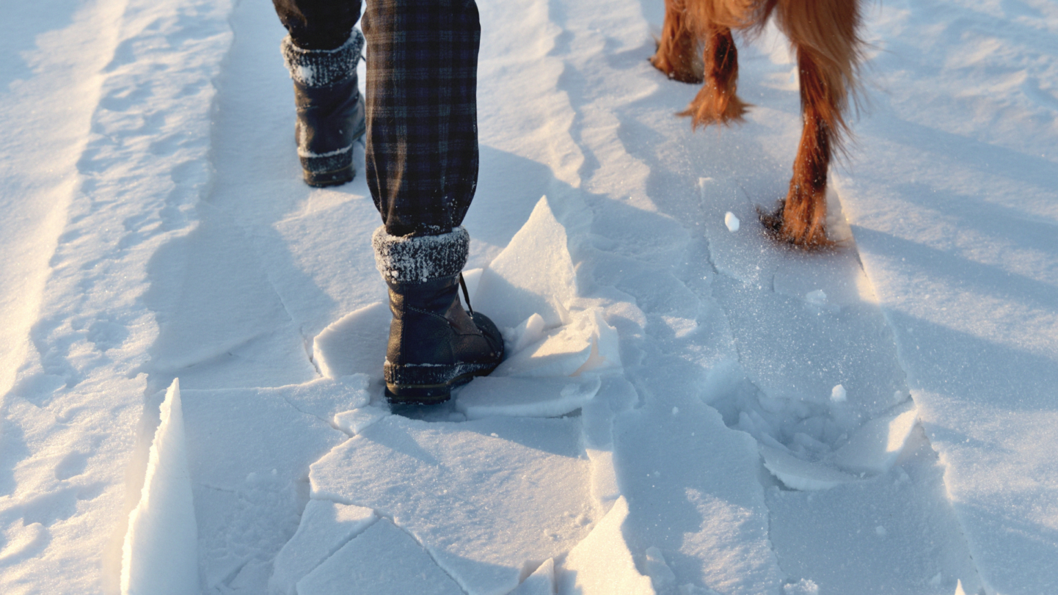 50 Cozy Winter Hobbies to Warm Your Soul Without Breaking the Bank ...