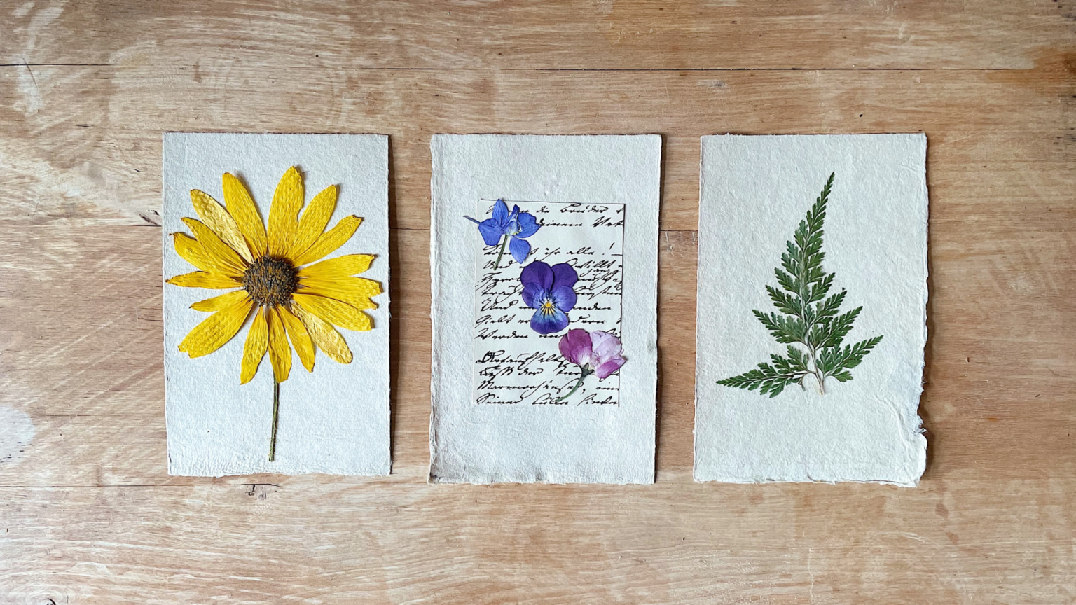 How to Decorate Your Home for Spring Without Breaking the Bank - Frozen ...
